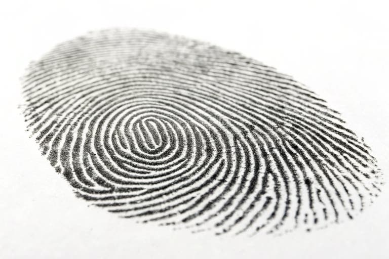 Real Thumb Fingerprint Pattern Isolated Stock Illustration ...