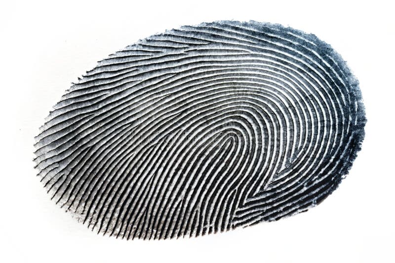 Real Thumb Fingerprint Pattern Isolated Stock Illustration ...