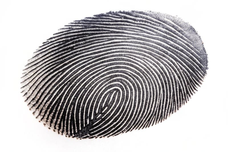 Real Thumb Fingerprint Pattern Isolated Stock Illustration ...