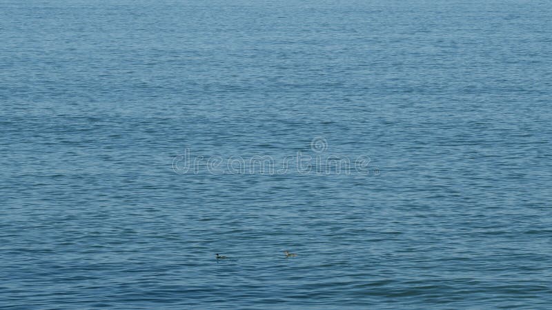 Seascape. Blue Crystal Clear Water. Sun Shine Water Background Stock ...