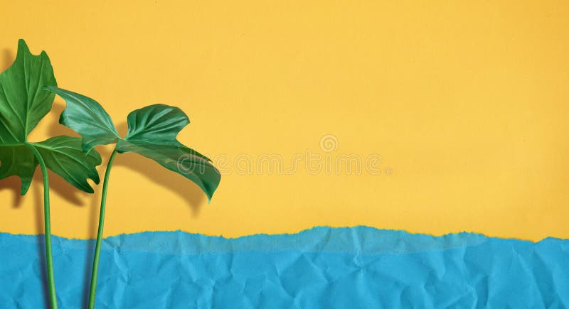 Real Tropical Leaves on Pastel Color Background.summer Concept Stock ...