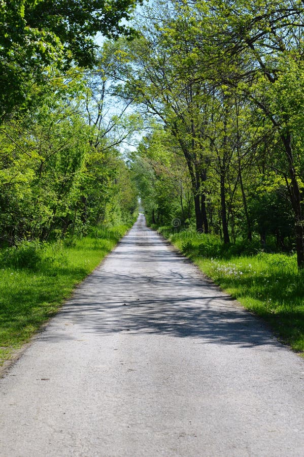 Real Village Pur in the Tree Line Stock Photo - Image of country, green ...