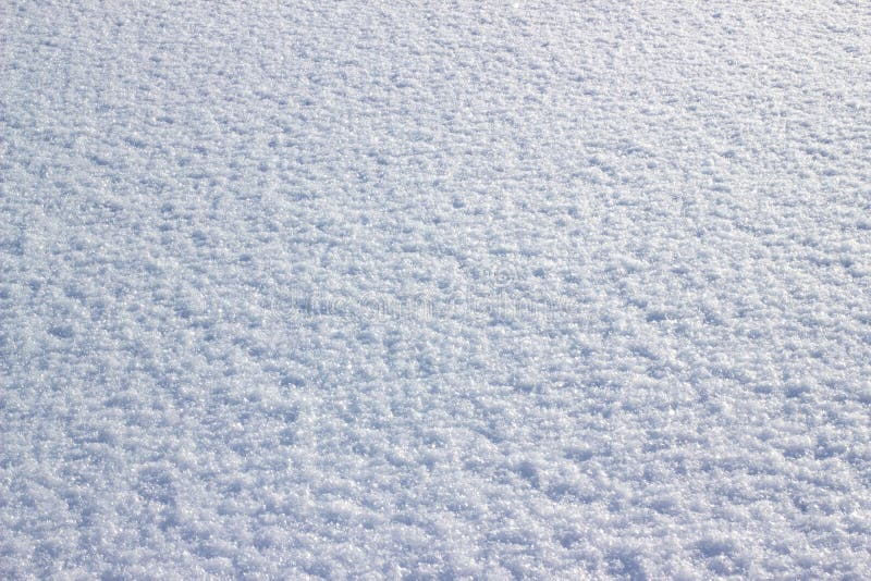 Real White Snow Surface. Background of Fresh Snow Stock Image - Image ...