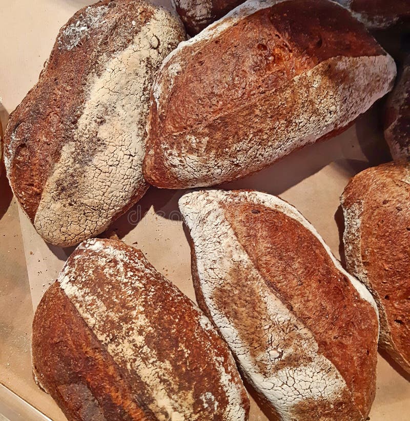 Real Whole Grain Rye, Oats and Wheat Bread Stock Photo - Image of ...