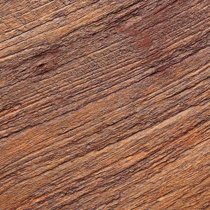 Real wood grain texture stock photo. Image of high, cellulose - 30841088