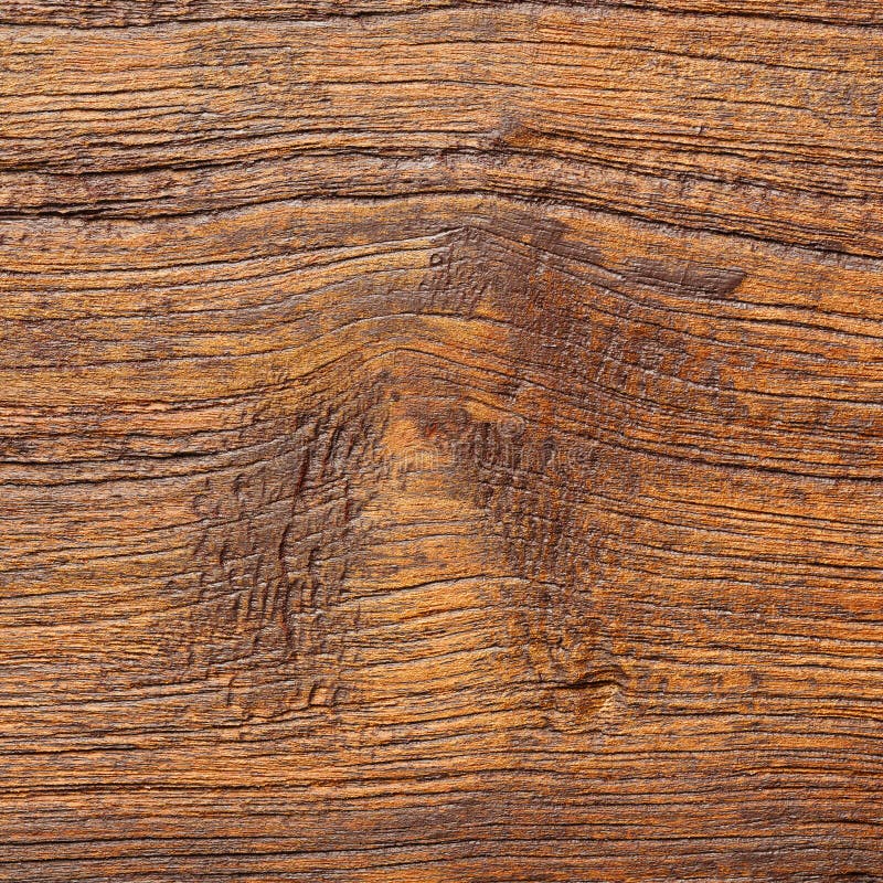 Real wood grain texture stock photo. Image of high, cellulose - 30841088