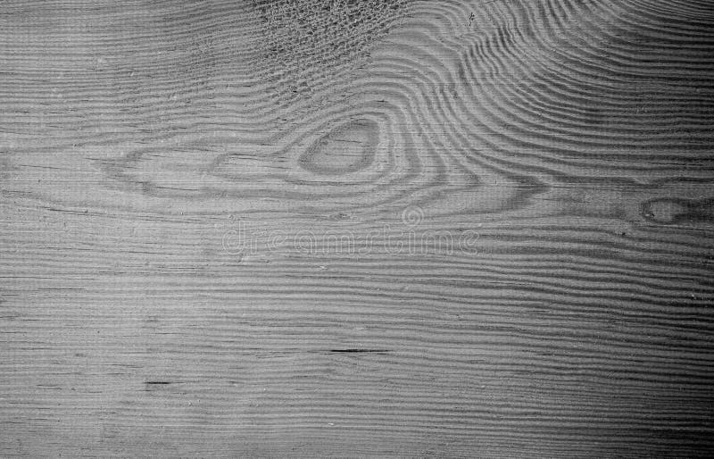 Real Wood Grayscale Texture Stock Image - Image of floor, wall: 224654645