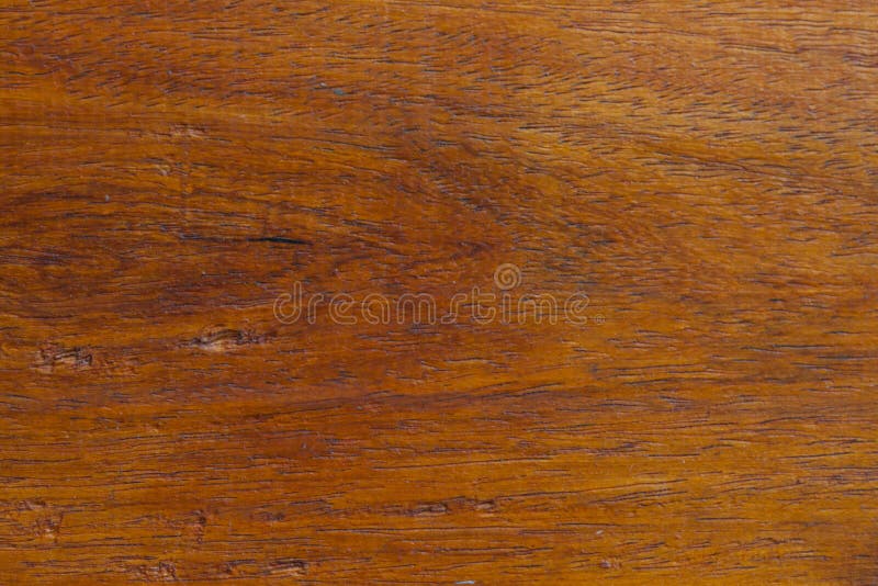 Real Wood Samples of Rosewood, Abstract Background of Rosewood. Stock ...