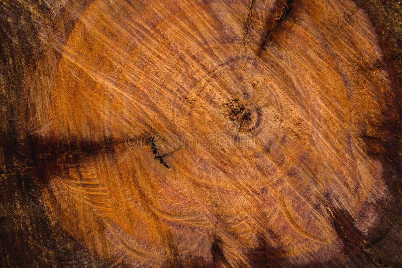 Real Wood Texture Image Background Stock Photo - Image of texture ...