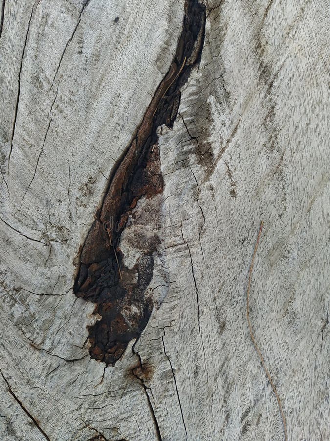 Real Wood Texture Pattern Used in Surface Work Stock Photo - Image of ...