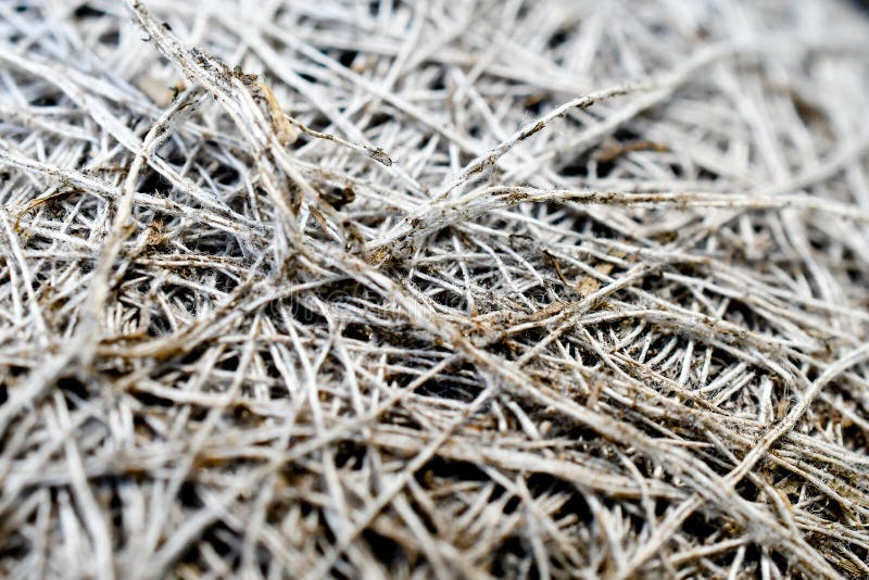 Dirty messy strings stock photo. Image of concept, clutter - 116544114