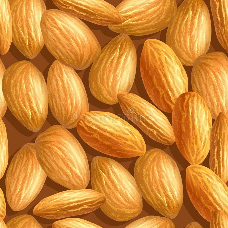 Realistic Almonds Texture. Seamless Pattern. Template for Background ...