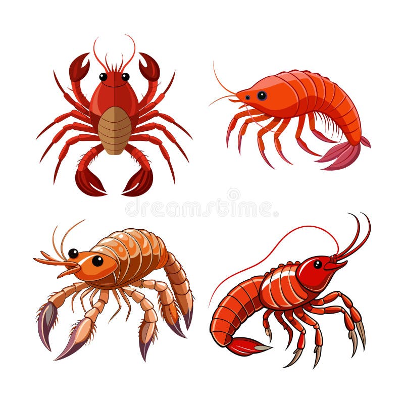 Realistic Alpheus Crustacean Colorful Illustration Stock Vector ...