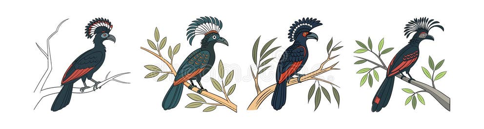 Realistic Amazonian Umbrellabird Artwork Stock Vector - Illustration of ...