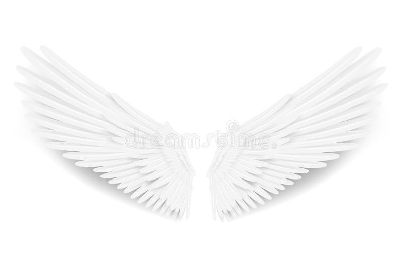 Realistic angel wings stock vector. Illustration of vector - 285380473 Realistic angel wings stock vector. Illustration of vector - 285380473