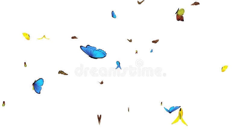 Realistic Animation of Colorful Butterflies Flying Around. Stock Video ...