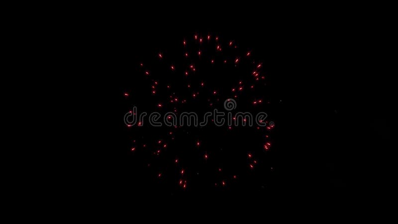 Realistic Animation Red Firework on Black Background. Stock Video ...