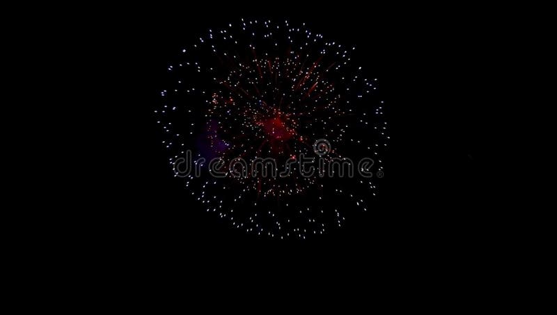 Realistic Animation White Firework on Black Background. Stock Footage ...