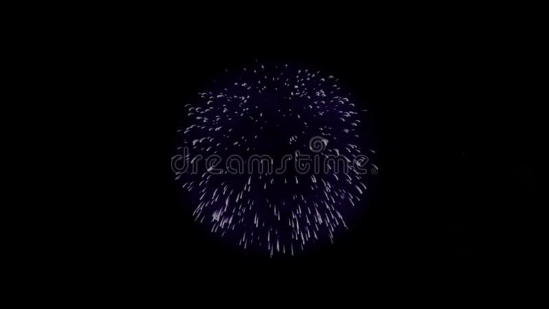 Realistic Animation White Firework on Black Background. Stock Footage ...