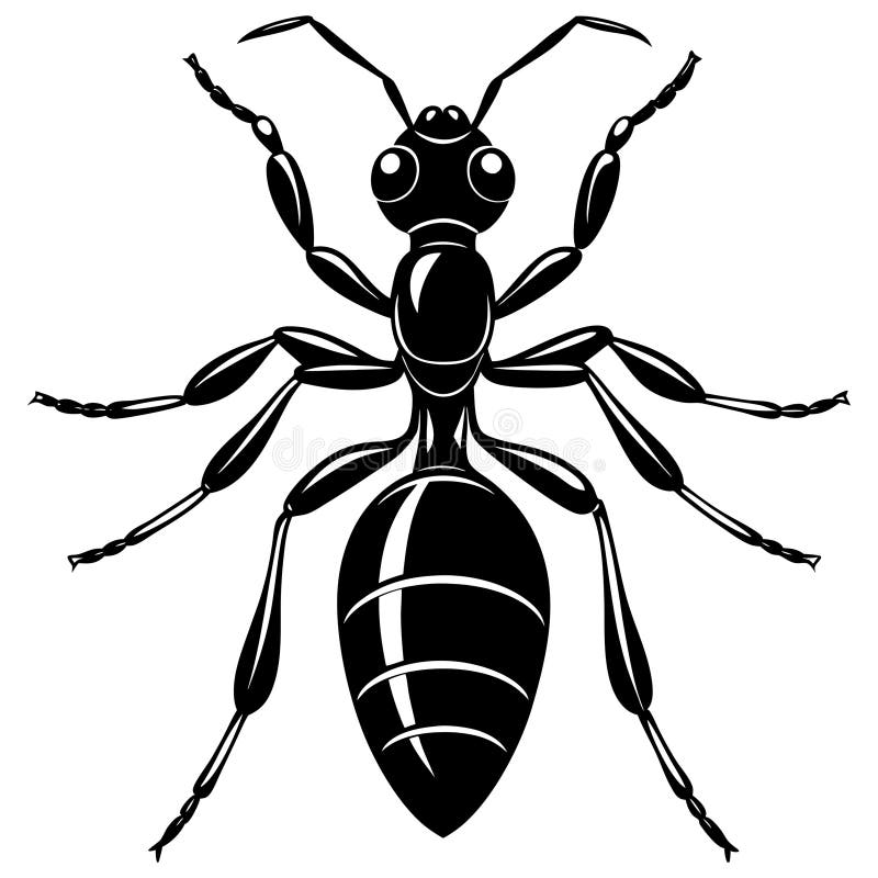 Realistic Ant Stock Illustrations – 1,846 Realistic Ant Stock ...