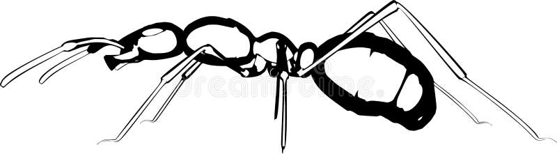 Realistic Ant Stock Illustrations – 2,110 Realistic Ant Stock ...