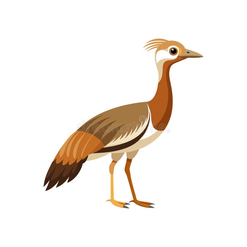 Realistic Arabian Bustard Bird Illustration Stock Image - Illustration ...