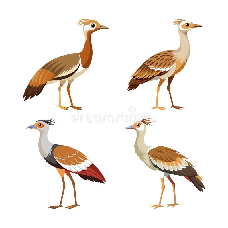 Realistic Arabian Bustard Bird Illustration Stock Vector - Illustration ...