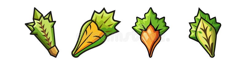 Realistic Arrowhead Vegetable Artwork with Vibrant Colors Stock Vector ...