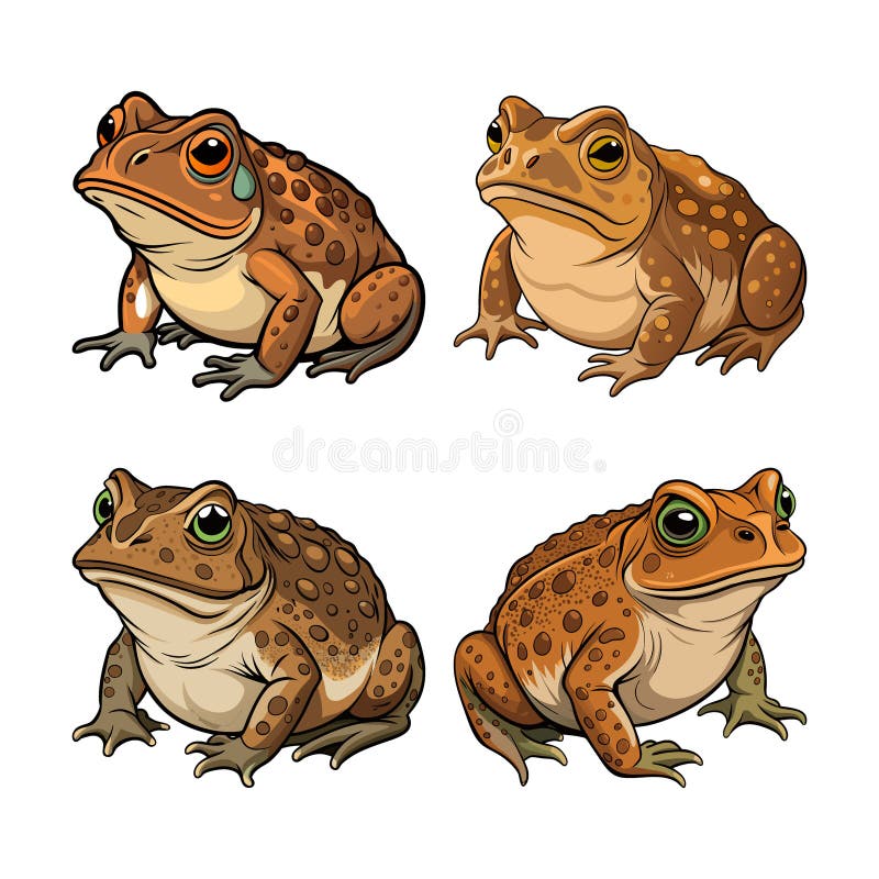 Realistic Asian Common Toad Color Illustration Stock Vector ...