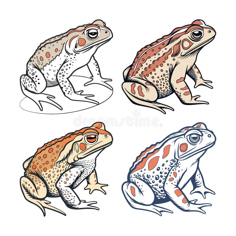 Realistic Asian Common Toad Color Illustration Stock Vector ...