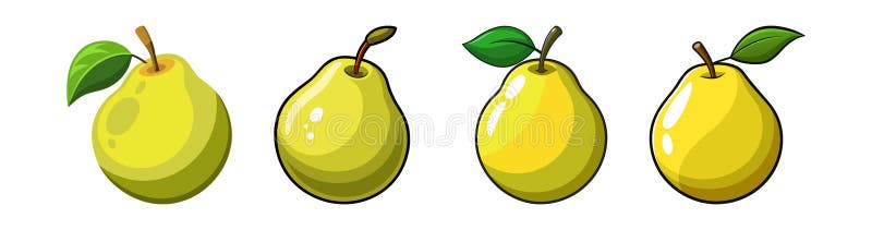 Realistic Asian Pear Fruit with Colorful Display Stock Vector ...