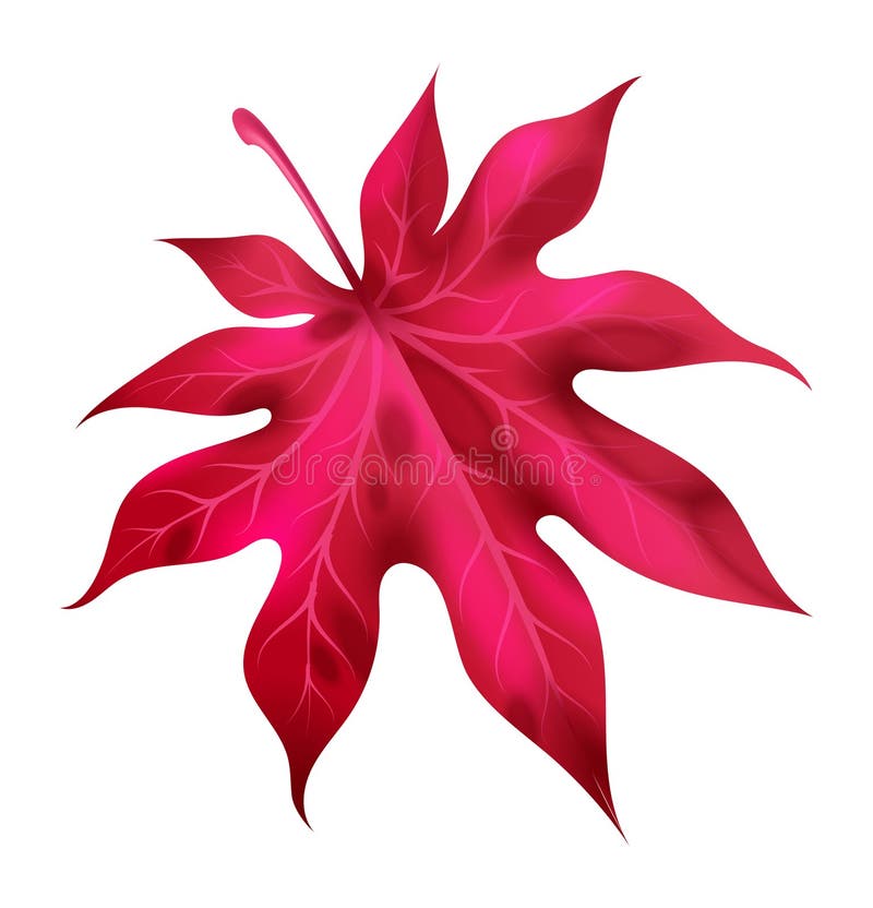 Realistic Autumn Leaf Fall Red And Pink Wood Foliage Of Maple Bright