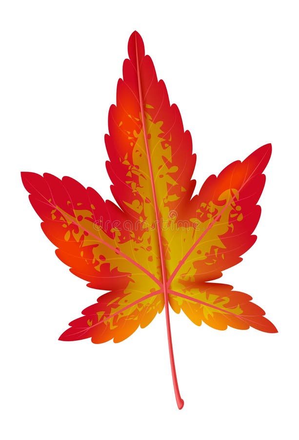 Realistic Autumn Leaves. Fall Orange Wood Foliage of Chestnut and Maple ...