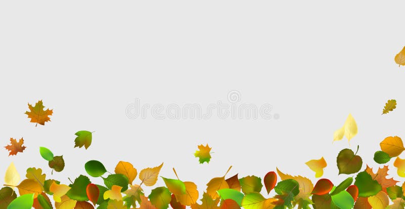 Realistic Autumn Leaves on a Light Background - Vector Stock Vector ...