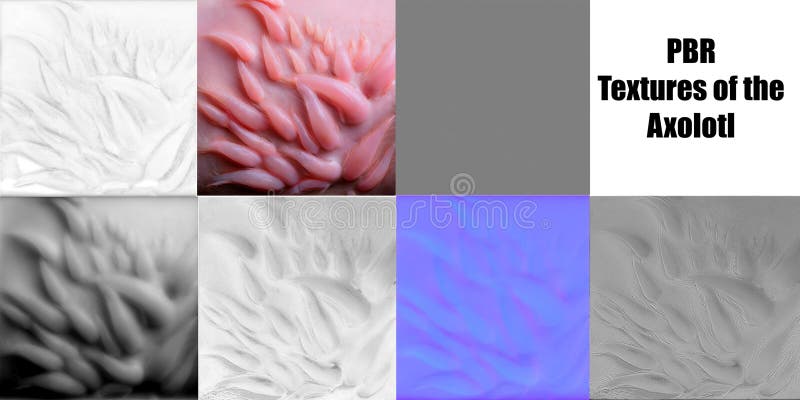 Realistic Axolotl PBR Texture 3D Design Texturing Pattern Stock ...