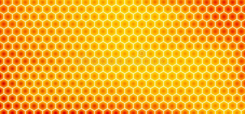 Honeycomb Realistic Vector Stock Illustrations – 2,003 Honeycomb ...