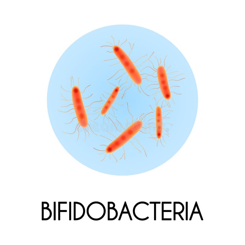 Realistic Bacteria Illustration Stock Vector - Illustration of small ...