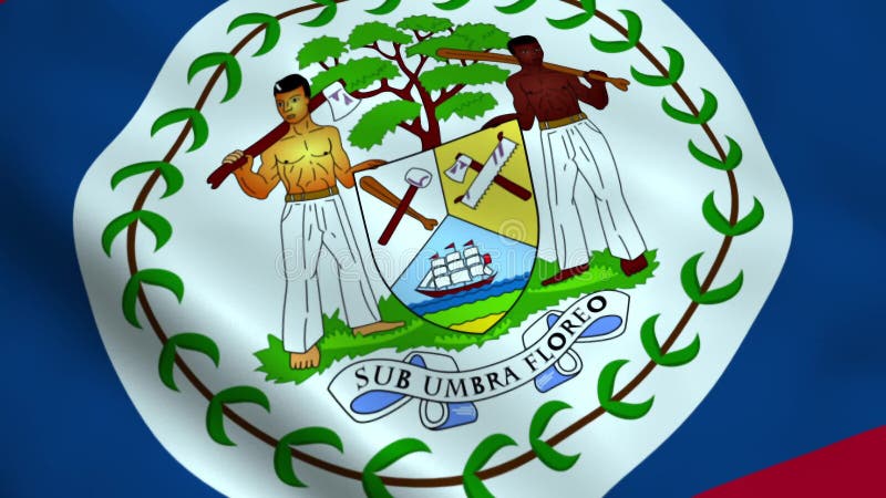 Belize Flag Flying High in the Sky Belize Independence Day. World ...