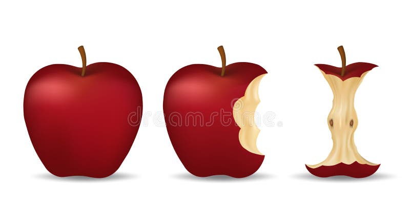 Realistic Bitten Apple Stock Vector Illustration Of Natural 260193405