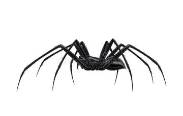 Spider Side View Stock Illustrations – 190 Spider Side View Stock ...