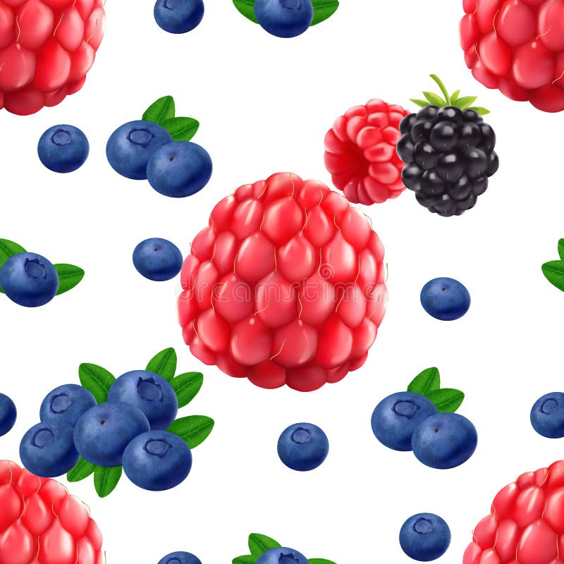 Realistic Blackberry Blueberry and Raspberry Seamless Pattern. Stock ...