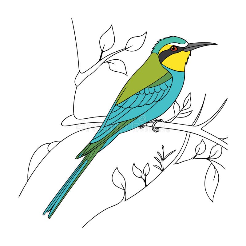 Realistic Blue-breasted Bee-eater Bird Illustration Stock Illustration ...