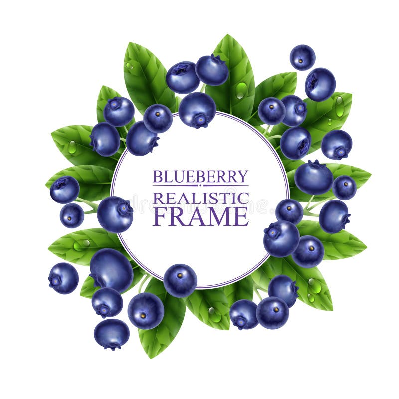 Realistic Blueberry Frame stock vector. Illustration of template ...