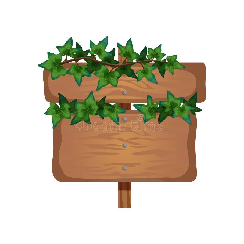 Realistic Vine Illustration Stock Vector - Illustration of botanical ...