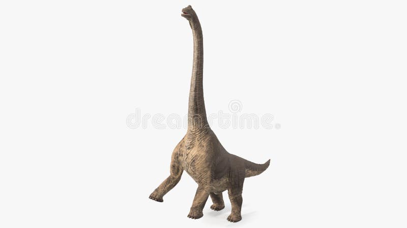 Realistic Brachiosaurus Model for Visualization Projects Stock Image ...