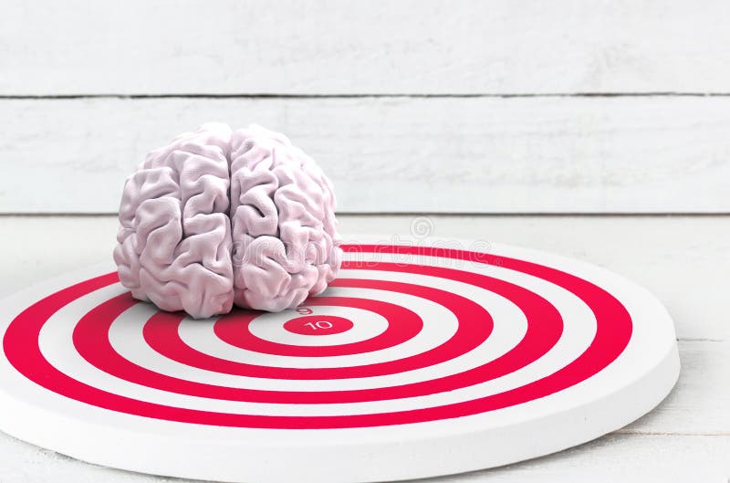 Realistic Brain on Red Target Symbolizing Knowledge, Intelligence, and ...
