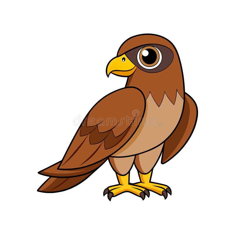 Realistic Broad-winged Hawk Bird Illustration Stock Illustration ...