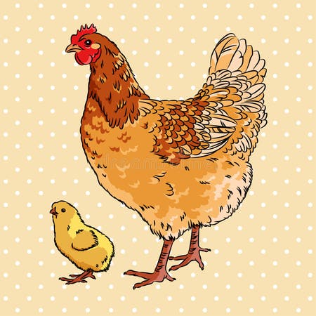Realistic Broody Chicken and Baby Chick Side View Stock Vector ...