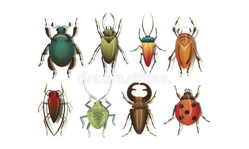 Realistic Bugs and Insects with Shadows Vector Set Stock Vector ...