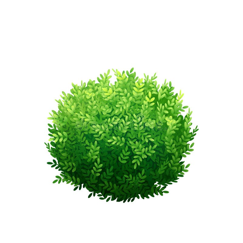 Realistic Bush Icon stock vector. Illustration of shape - 232093069